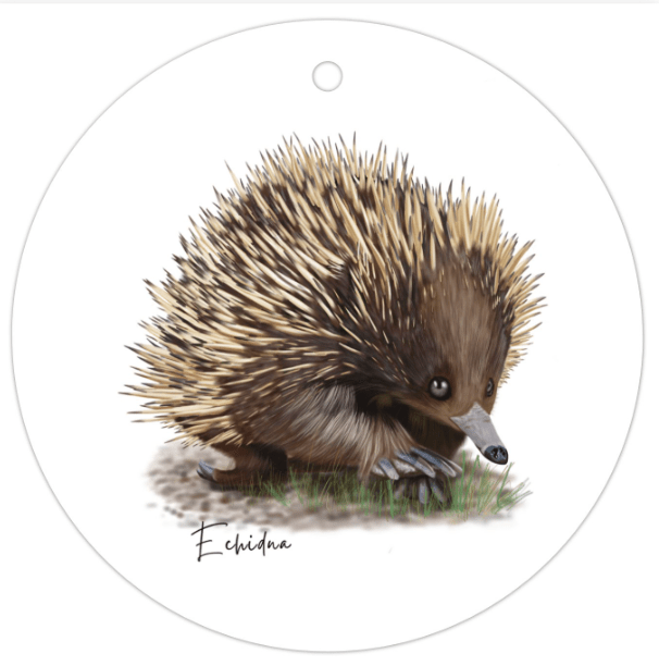 echidna gifts